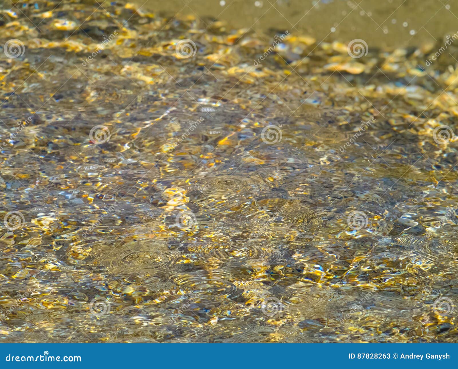Sand Under the Clear Water of the Ocean Stock Image - Image of ...