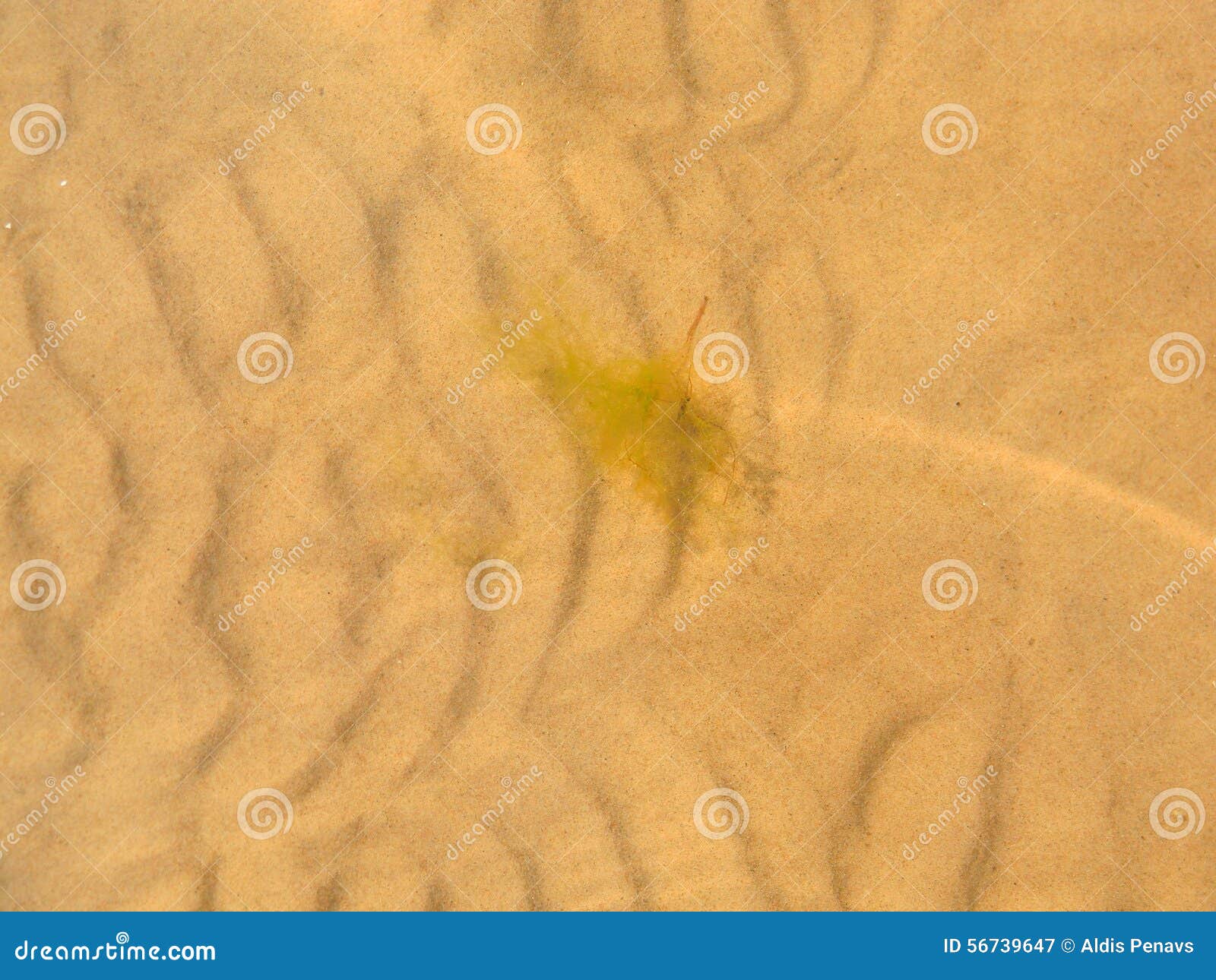 Sand under the sea stock image. Image of ground, granular - 56739647