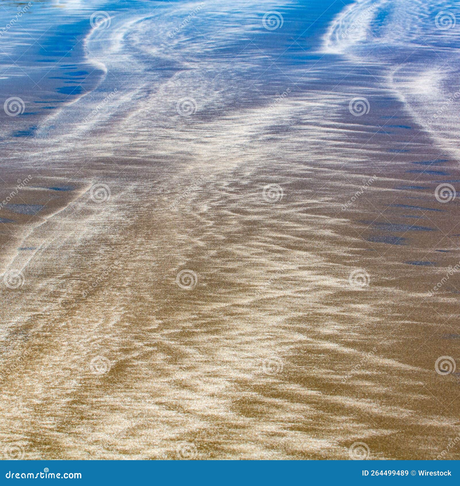 Sand under the sea water stock image. Image of seascape - 264499489