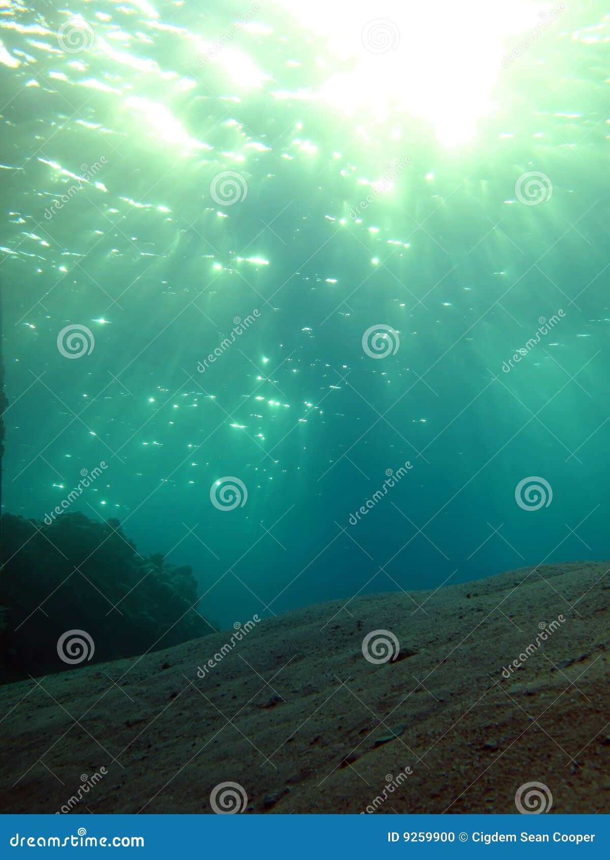 Sand Underwater stock photo. Image of school, immerse - 9259900
