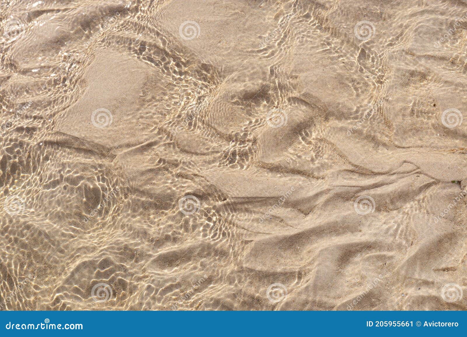 Sand Underwater Background Texture. Clear Ripple Sea Wave and White ...