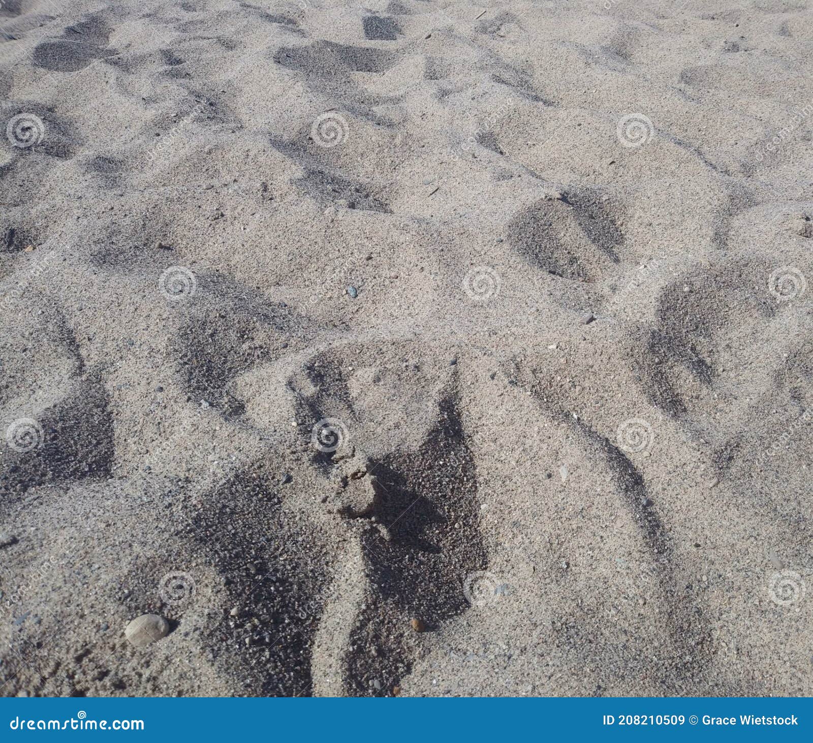 Sand Up Close stock image. Image of beach, close, sand - 208210509
