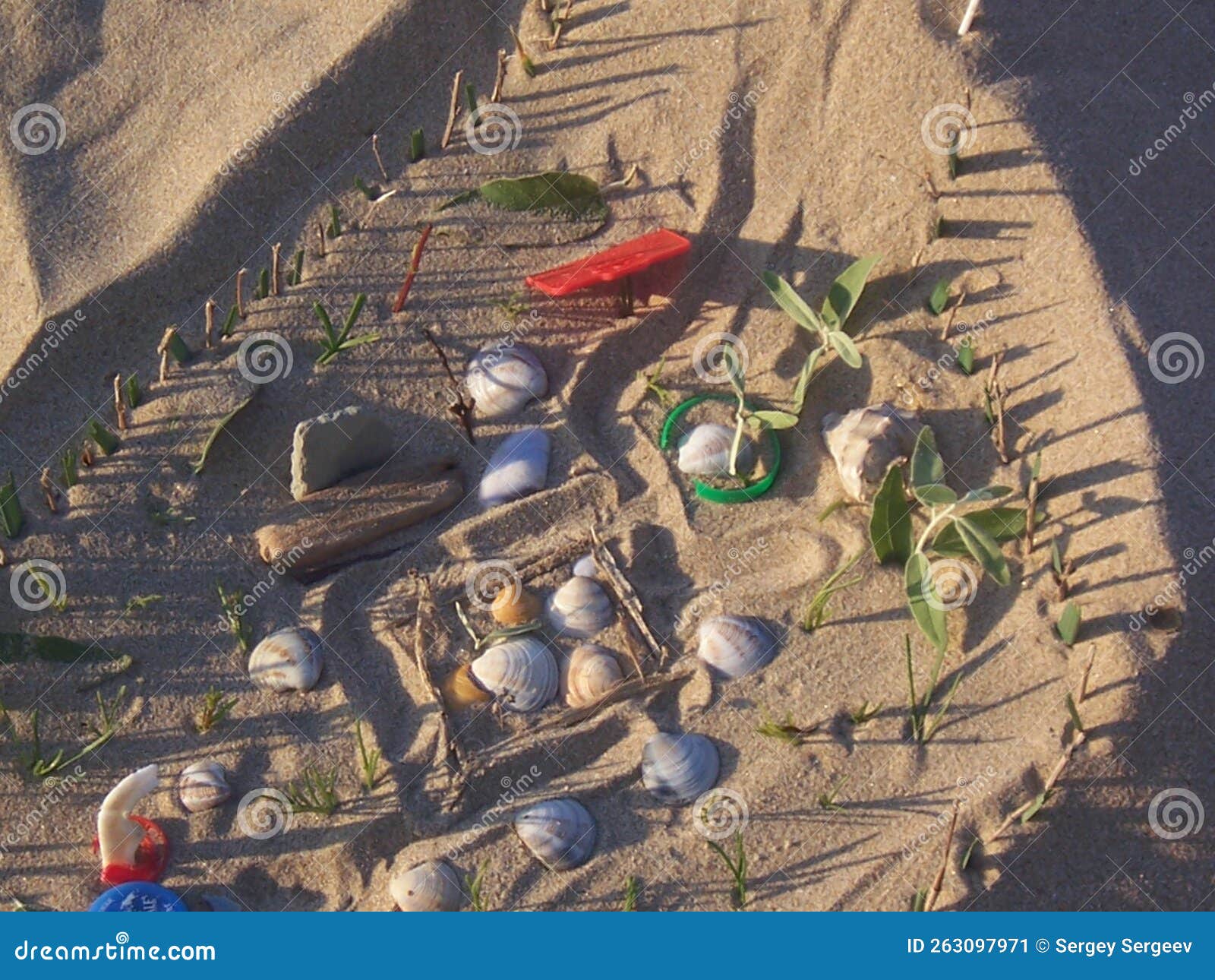 Sand village from trash stock image. Image of animal - 263097971