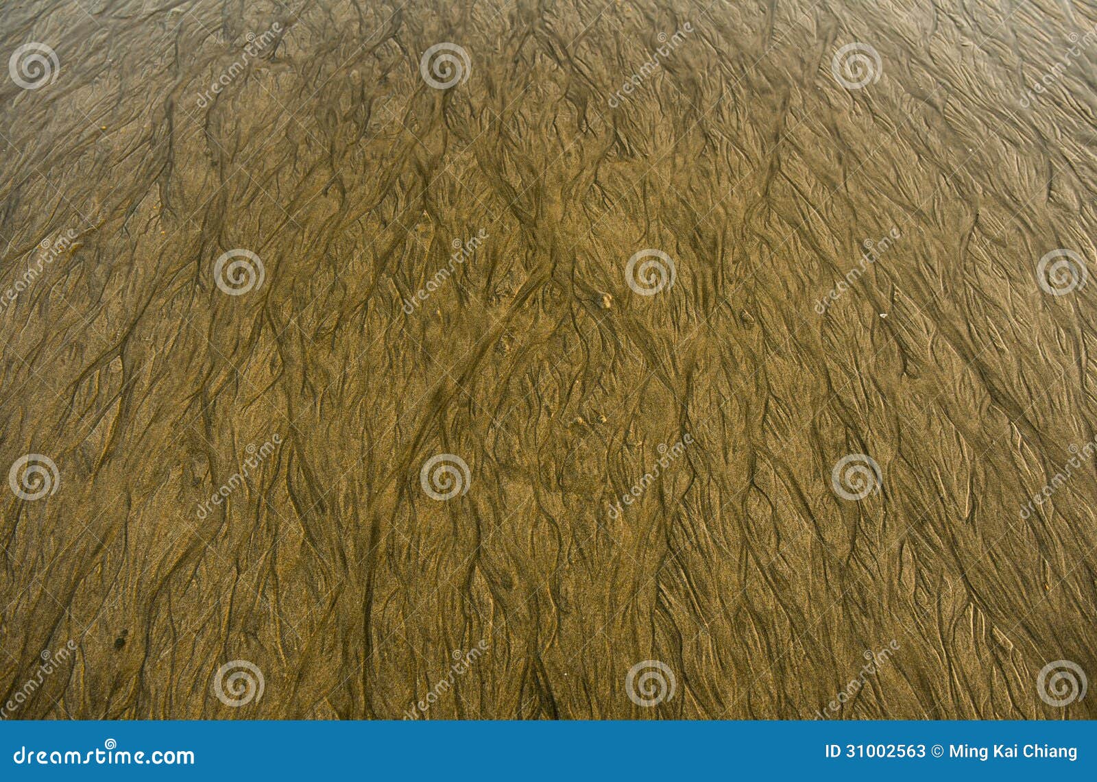 Sand of water washed stock image. Image of natural, summer - 31002563
