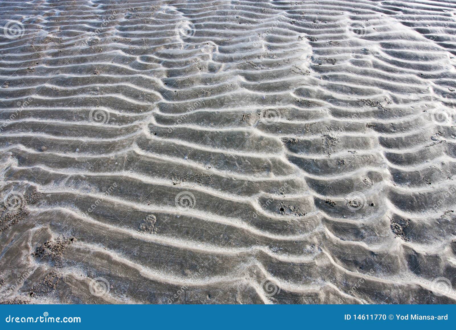 Sand wave stock photo. Image of summer, shadow, detail - 14611770