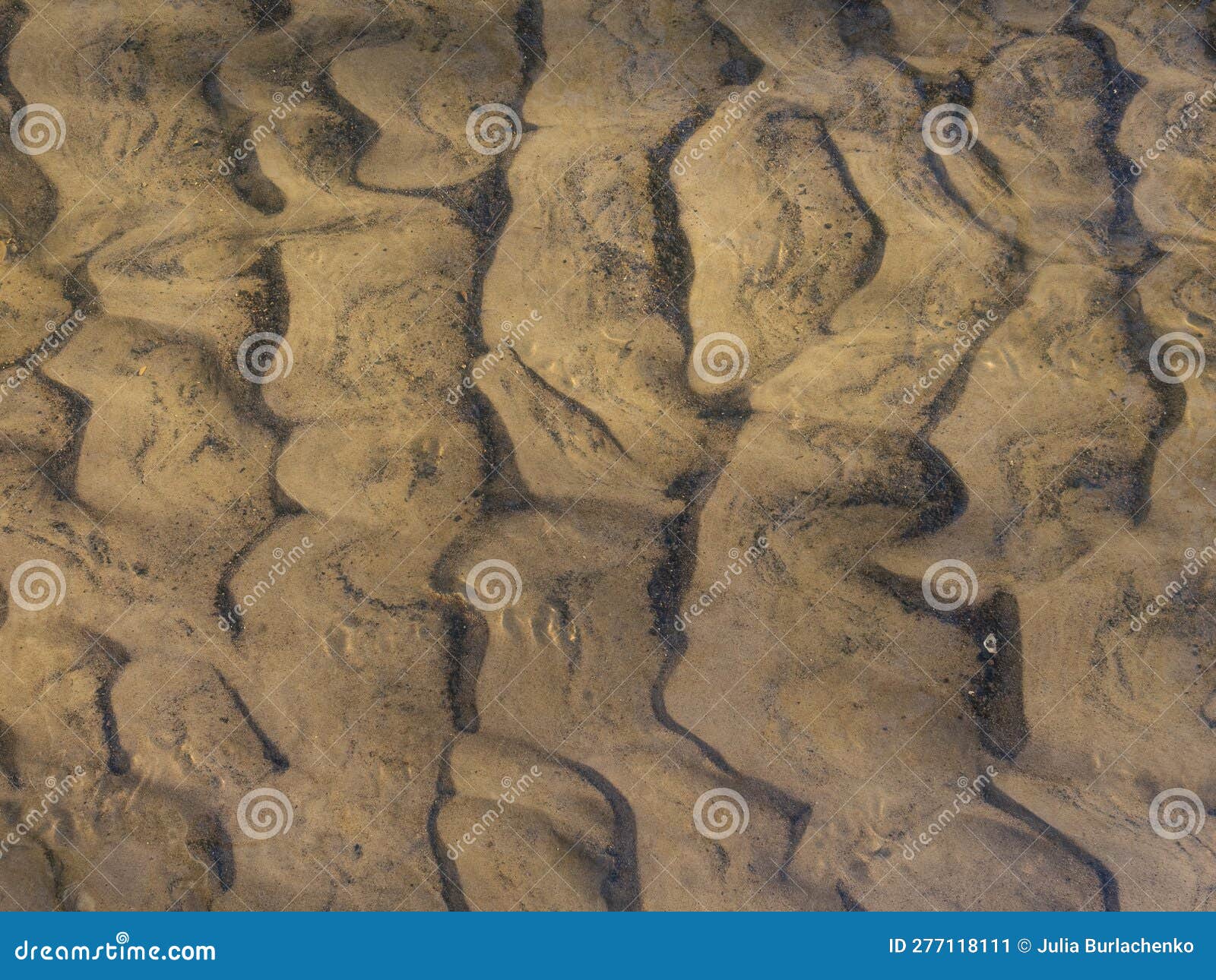 Sand Wave Dunes in the Water Stock Image - Image of texture, riverbed ...