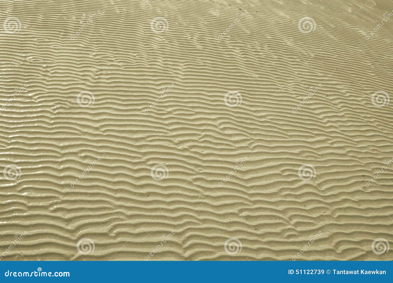 Sand wave texture stock image. Image of dune, summer - 51122739