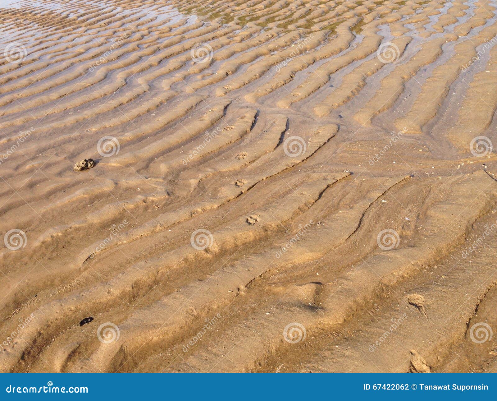 Sand Wave Texture Wallpaper Stock Photo - Image of wood, geology: 67422062