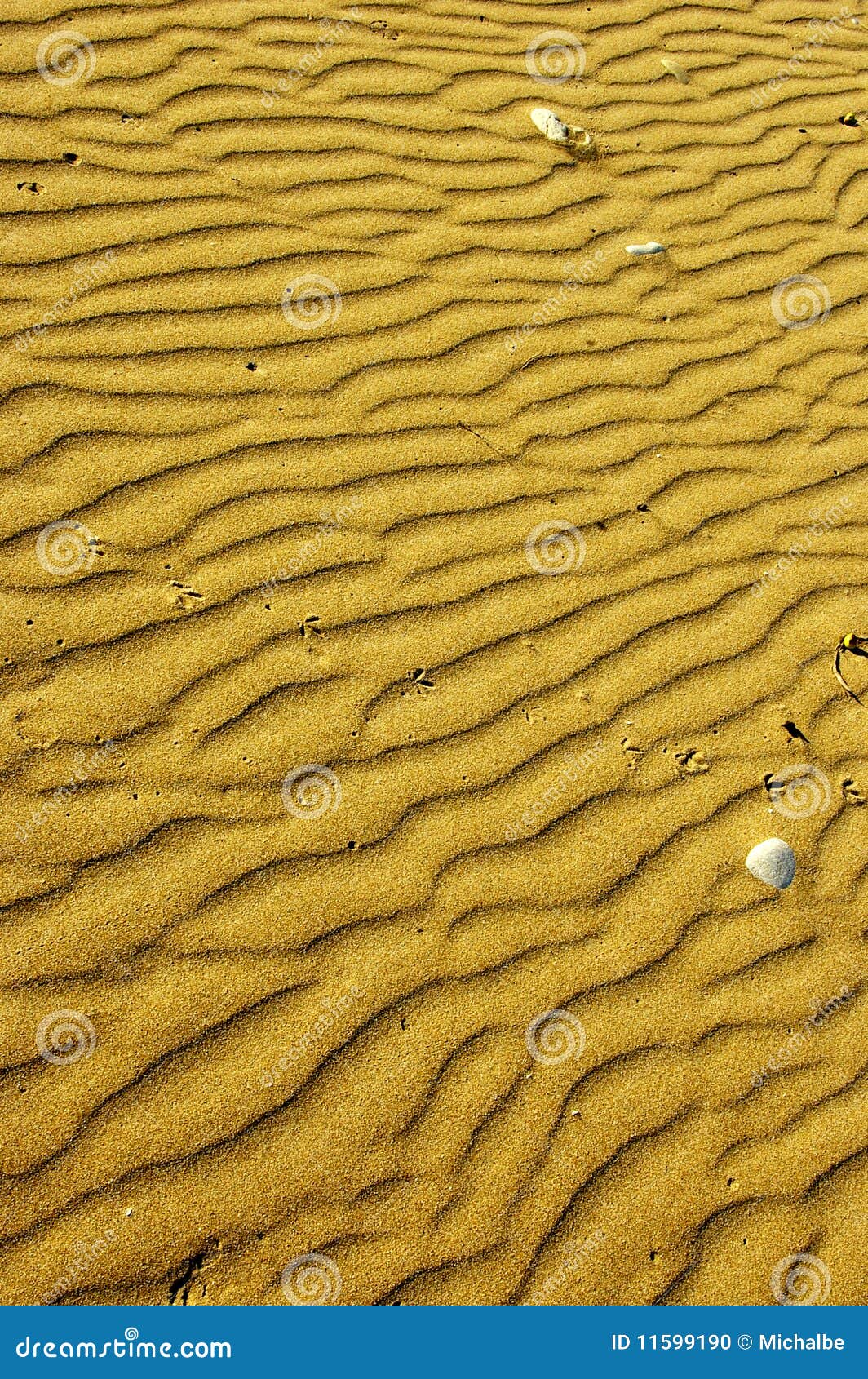 Sand waves stock photo. Image of birds, wind, summer - 11599190