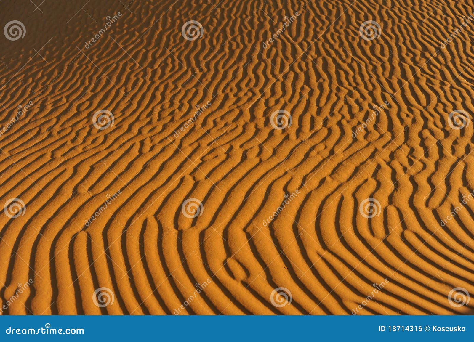 Sand waves stock photo. Image of location, arabian, natural - 18714316