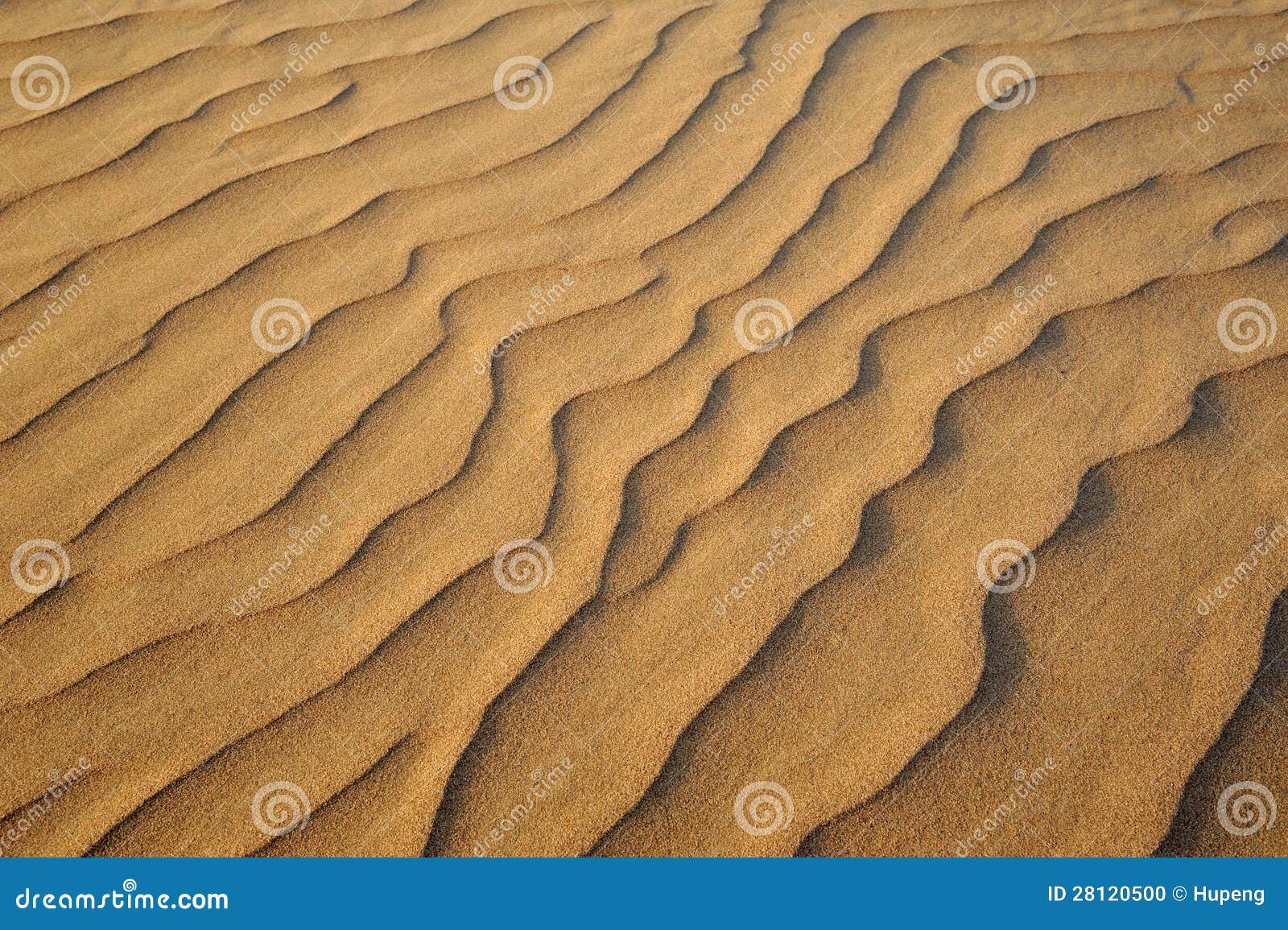 Sand waves stock photo. Image of holidays, grain, hard - 28120500