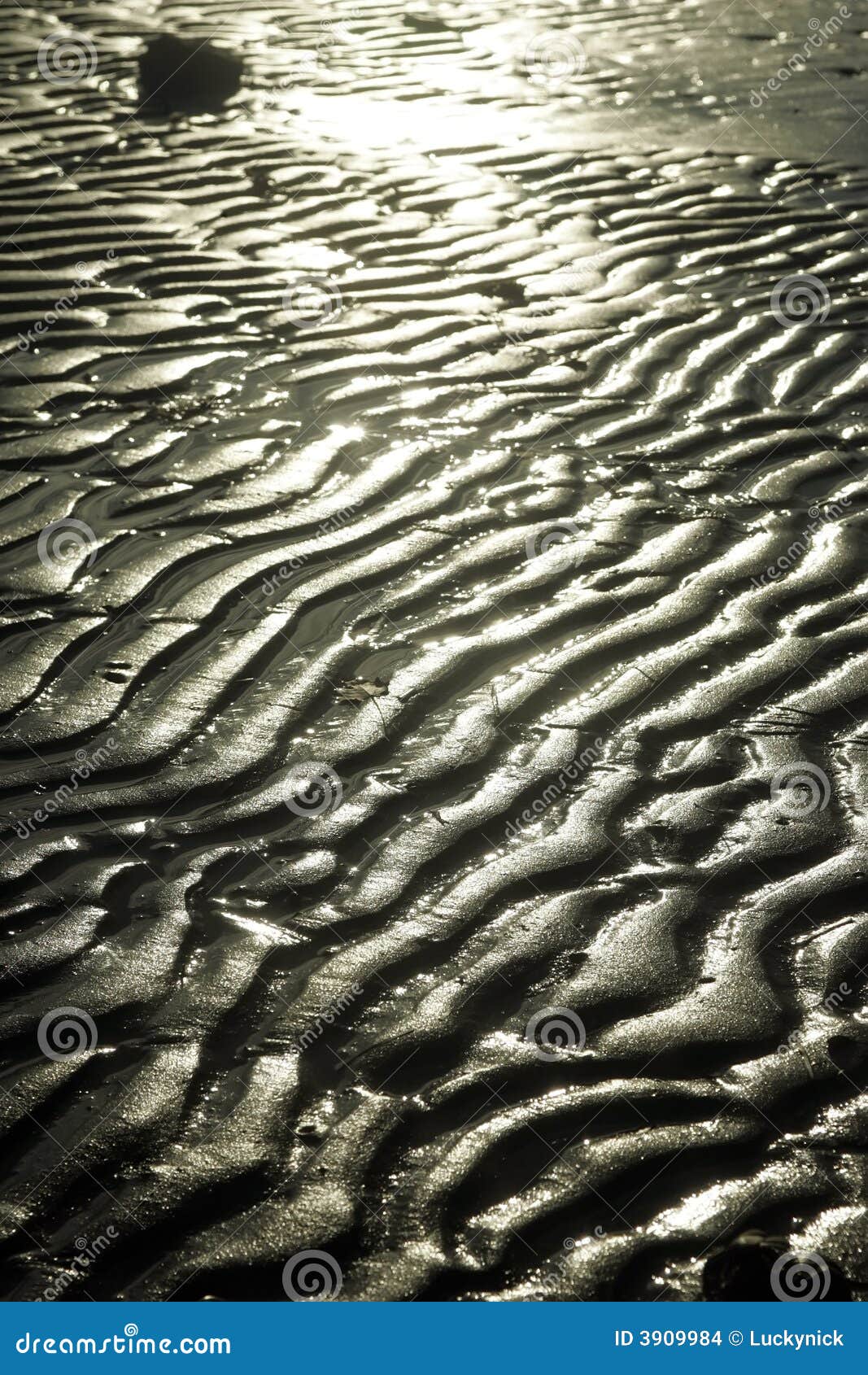 Sand waves stock photo. Image of patterns, silt, desert - 3909984