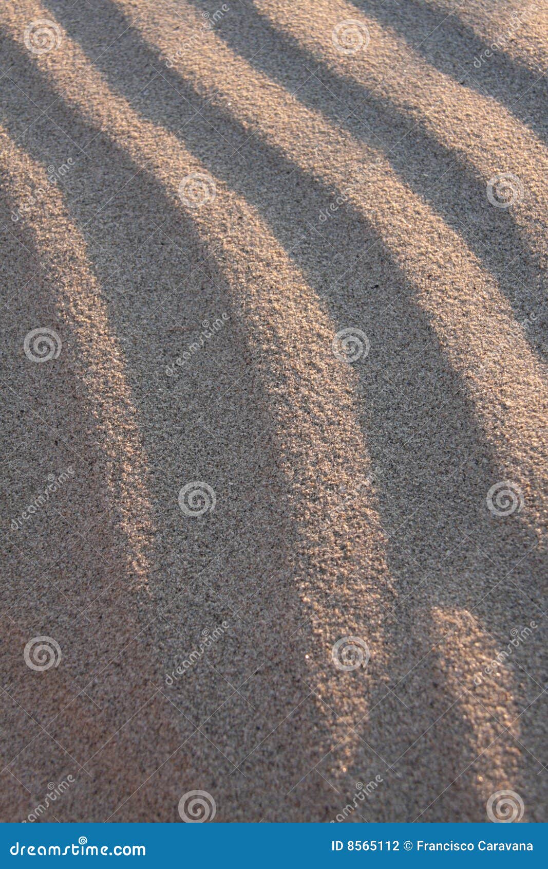 Sand waves stock photo. Image of ripple, desert, solitude - 8565112