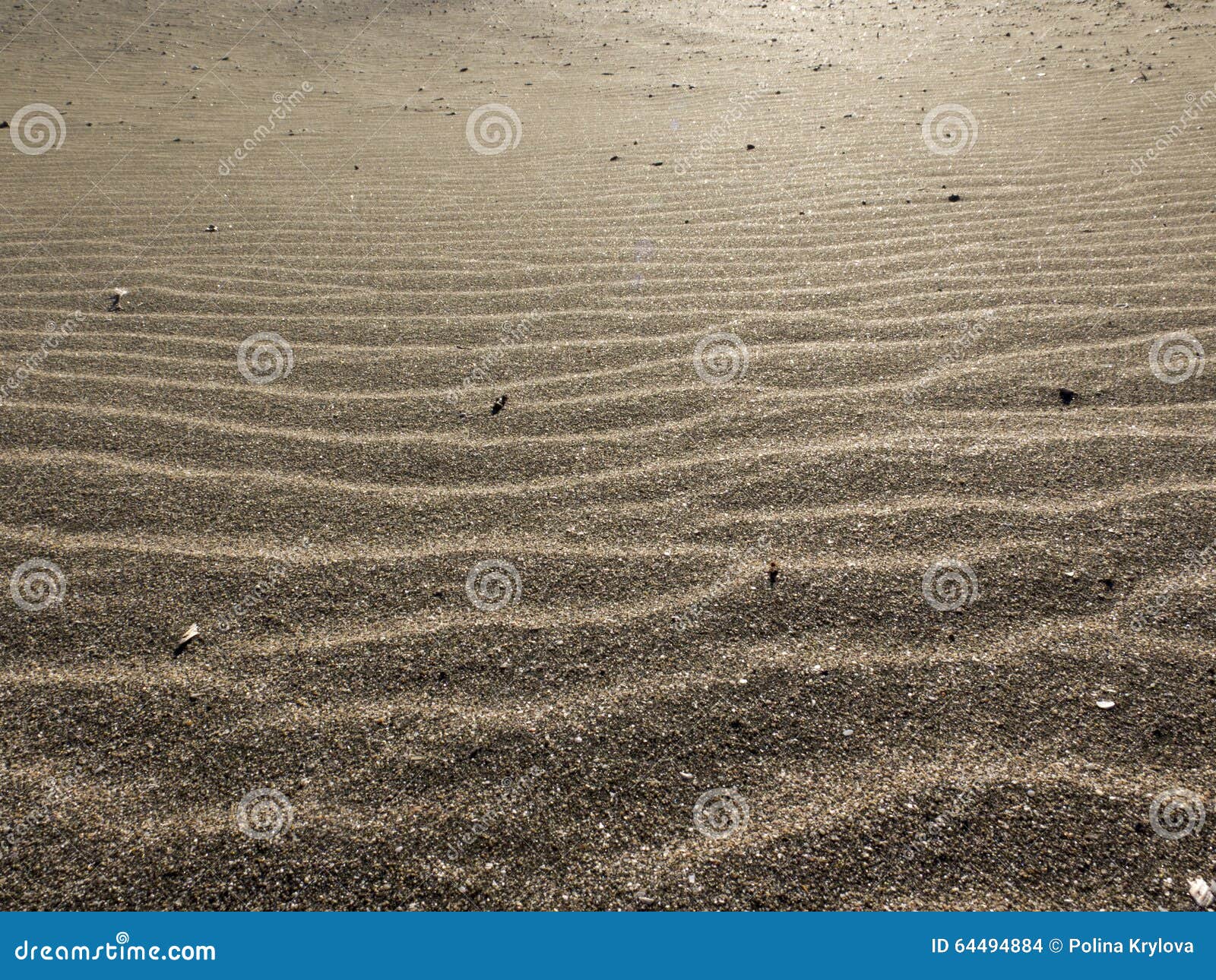 Sand Waves on the Beach , in the Desert Stock Photo - Image of ...