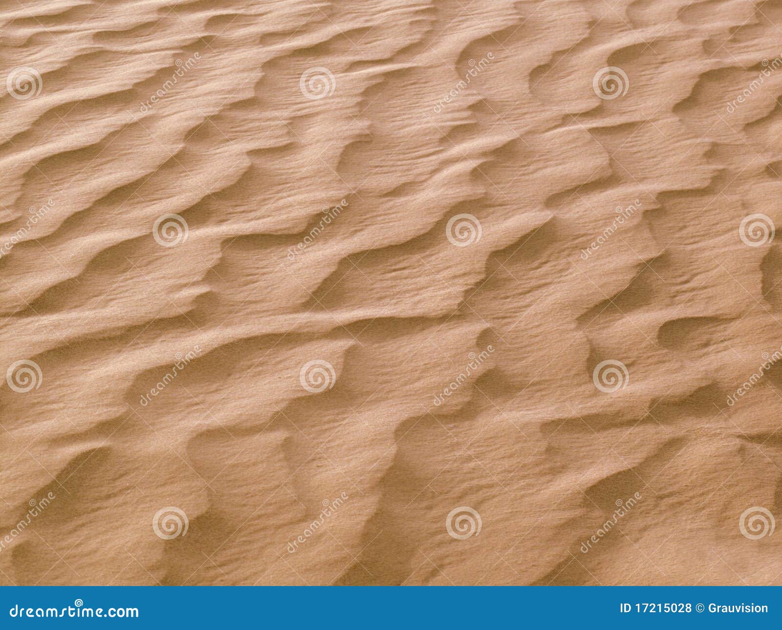 Sand waves in the desert stock photo. Image of curve - 17215028