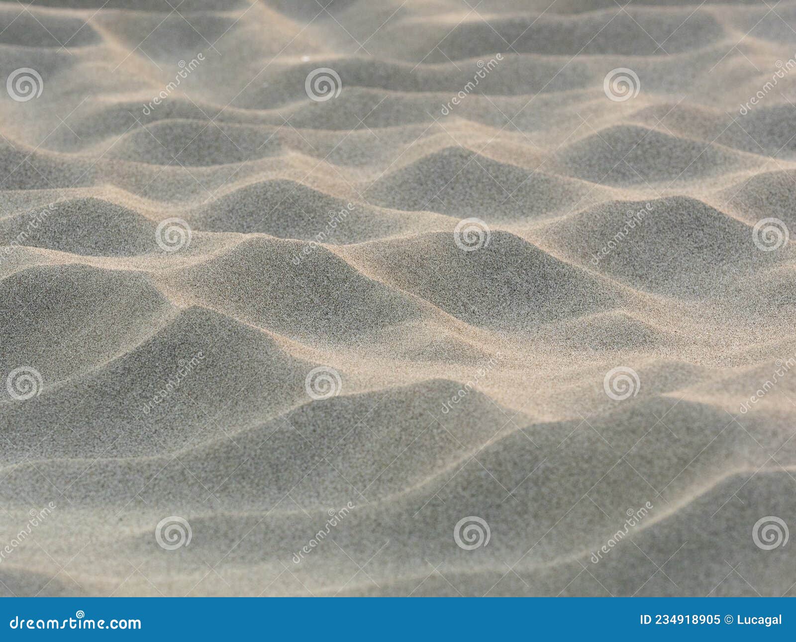 Sand Waves Pattern Created by the Wind on the Beach Stock Image - Image ...