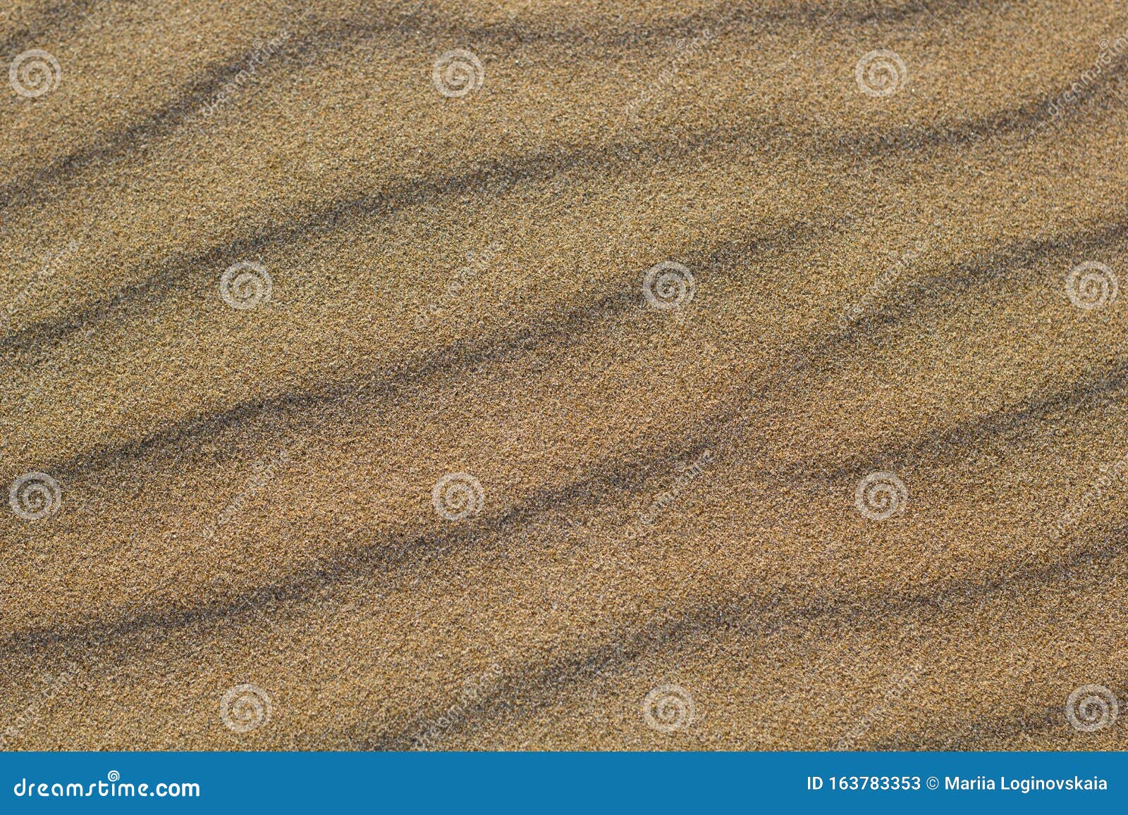 Sand Wavy Texture Royalty-Free Stock Image | CartoonDealer.com #137448046