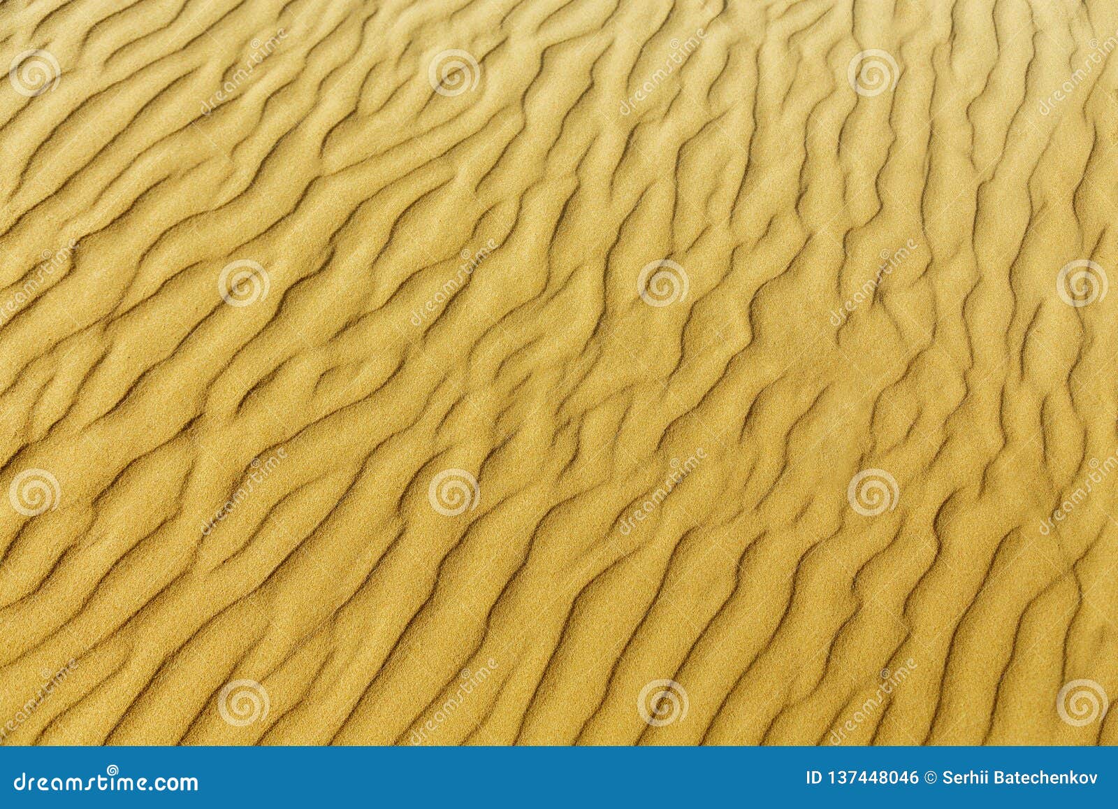 Sand Wavy Texture Royalty-Free Stock Image | CartoonDealer.com #137448046