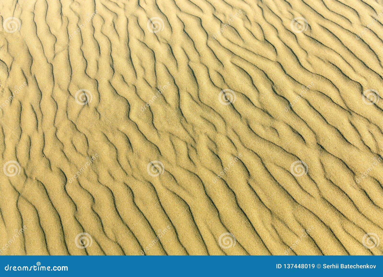 Sand wavy texture stock image. Image of color, background - 137448019