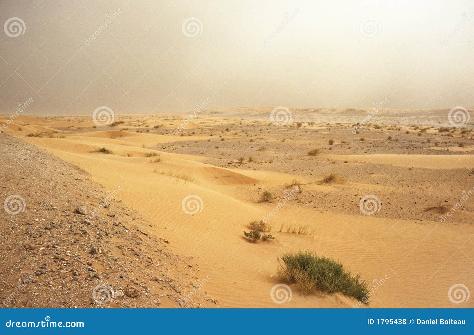 Sand wind stock photo. Image of sand, desert, warm, sahara - 1795438