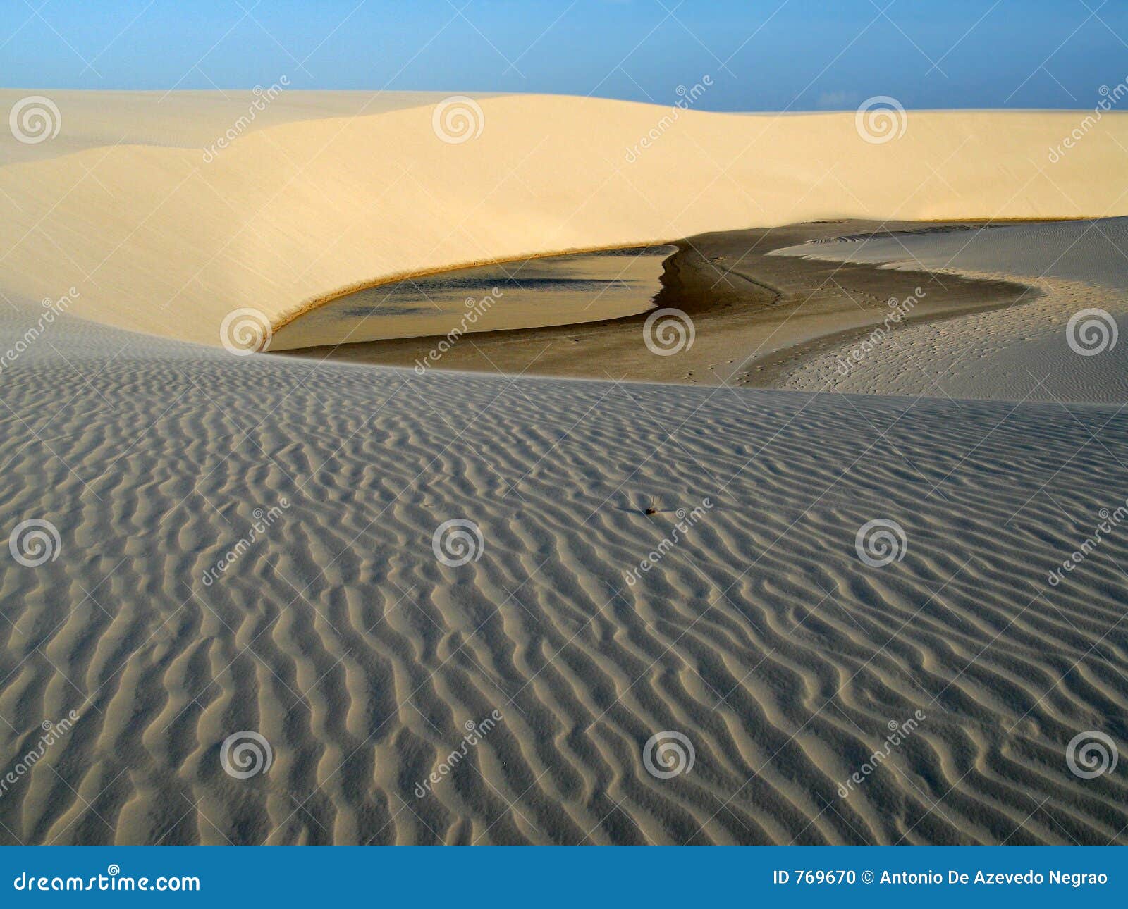 Sand wind stock photo. Image of nature, wind, mark, background - 769670
