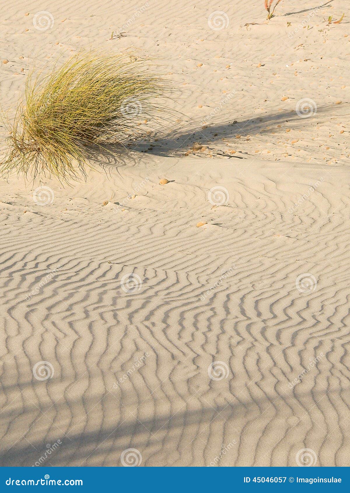 Sand and wind stock image. Image of nature, sand, immaculate - 45046057