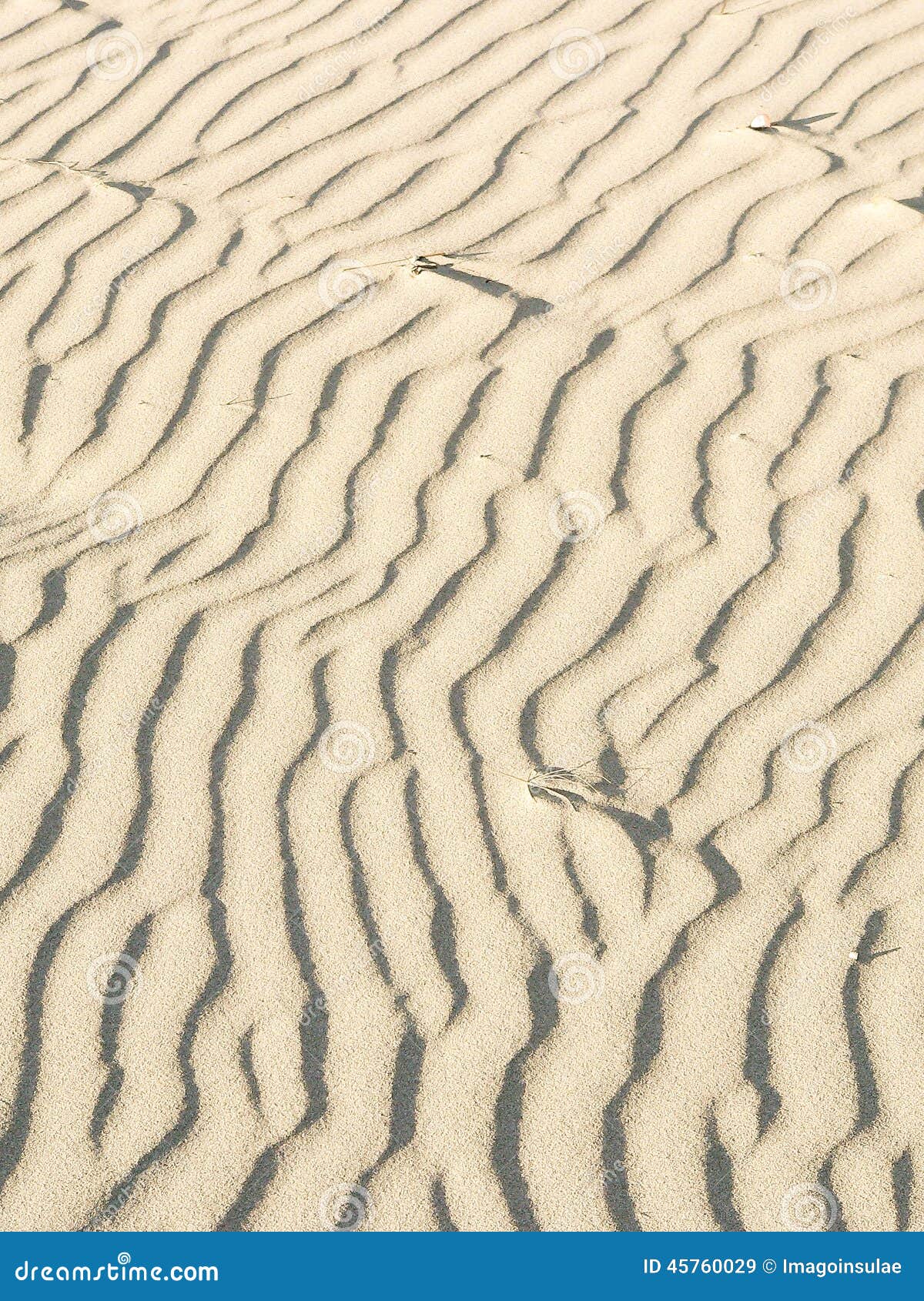 Sand and wind stock image. Image of sinuous, scratched - 45760029