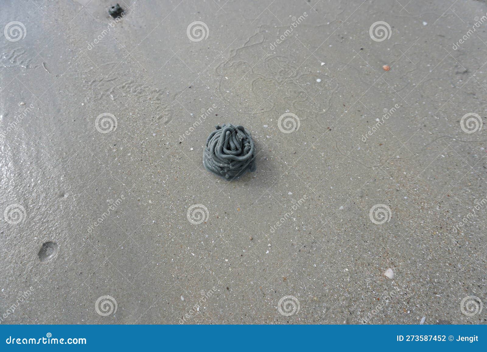 Sand Worm Mudflats at Sandy Beach Stock Photo - Image of ocean, nature ...