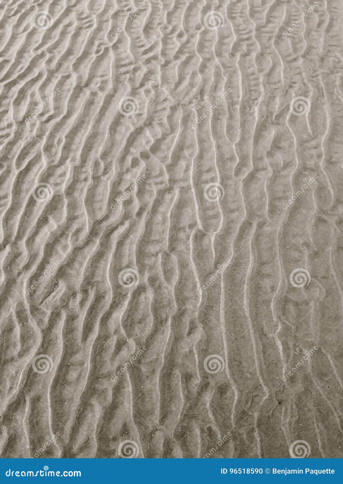 Sand wrinkles stock photo. Image of wrinkles, rolls, ogunquit - 96518590