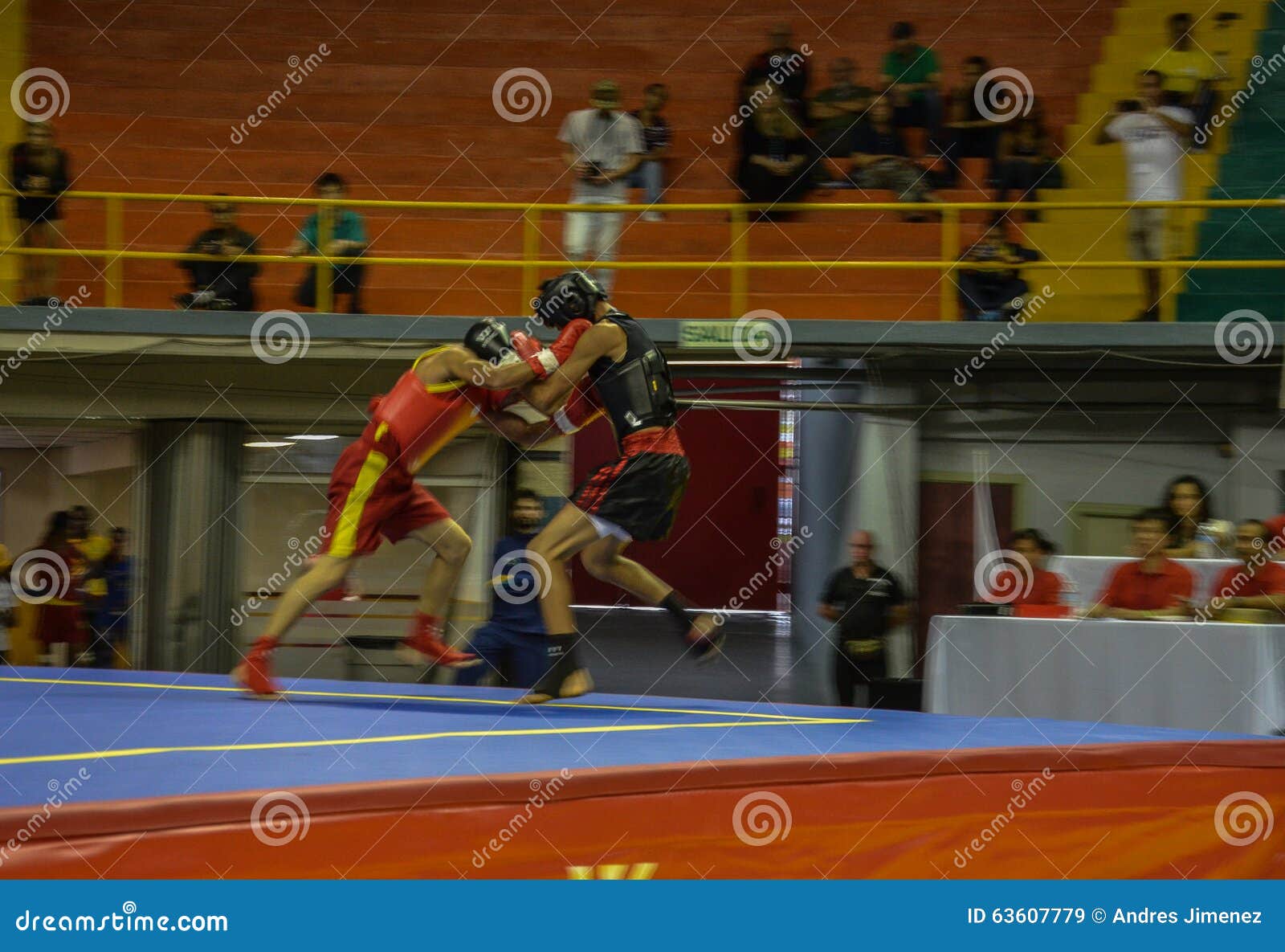 Sanda Fighter Throws Opponent from the Ring Editorial Stock Image ...