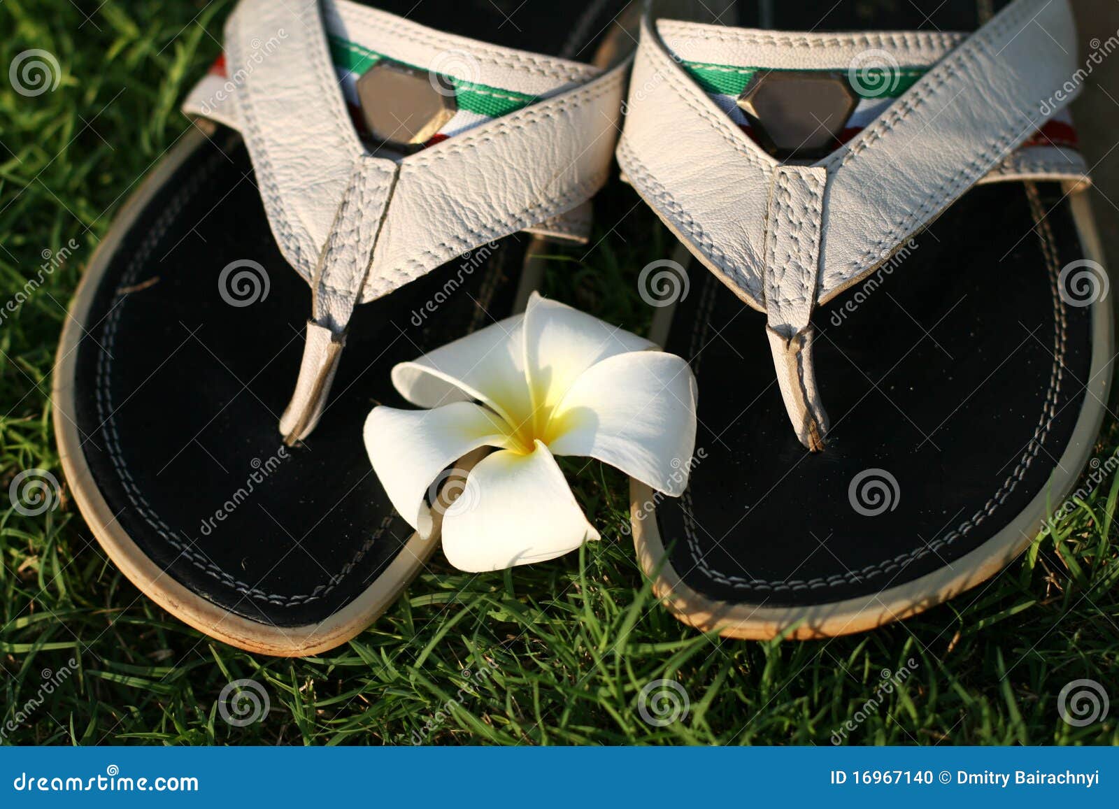 Sandals and flower stock photo. Image of plumeria, green - 16967140