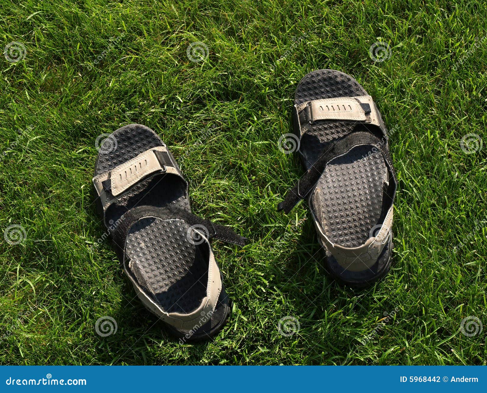 Sandals On The Grass Picture. Image: 5968442