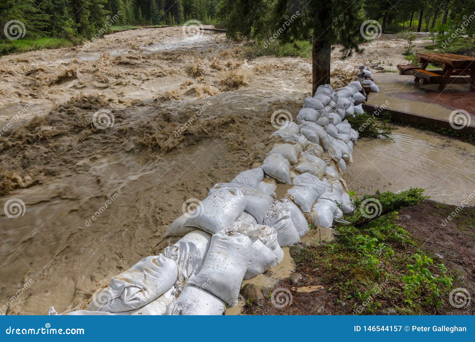 Sandbags Royalty-Free Stock Photo | CartoonDealer.com #71888487