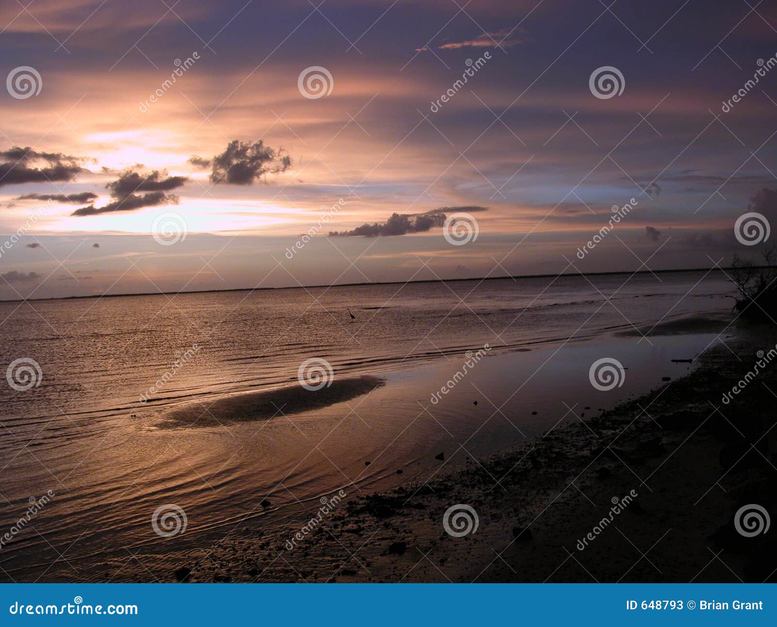 Sandbar Sunset stock image. Image of stratus, clouds, heron - 648793