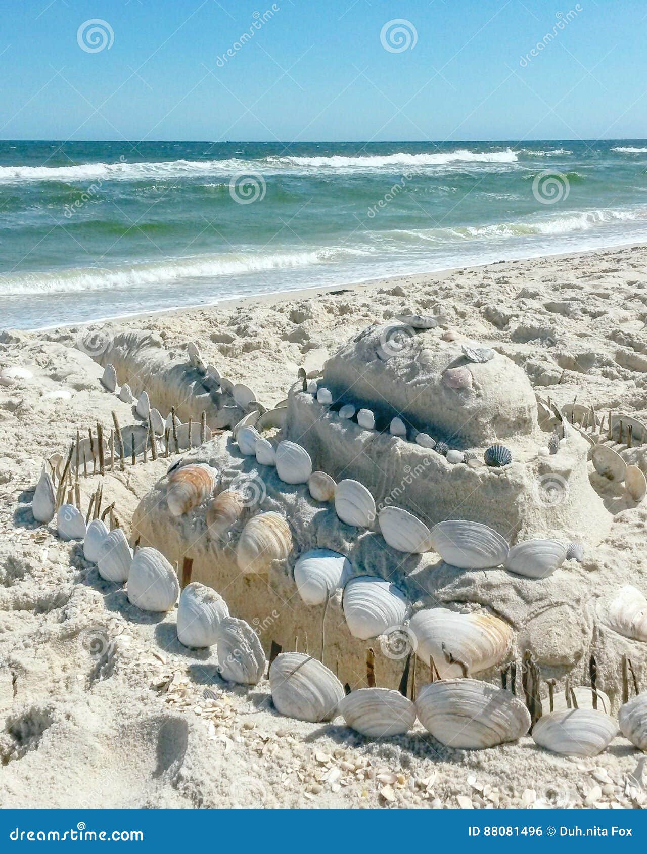 Sandcastle on the Beach Shells Stock Photo - Image of shells, state ...