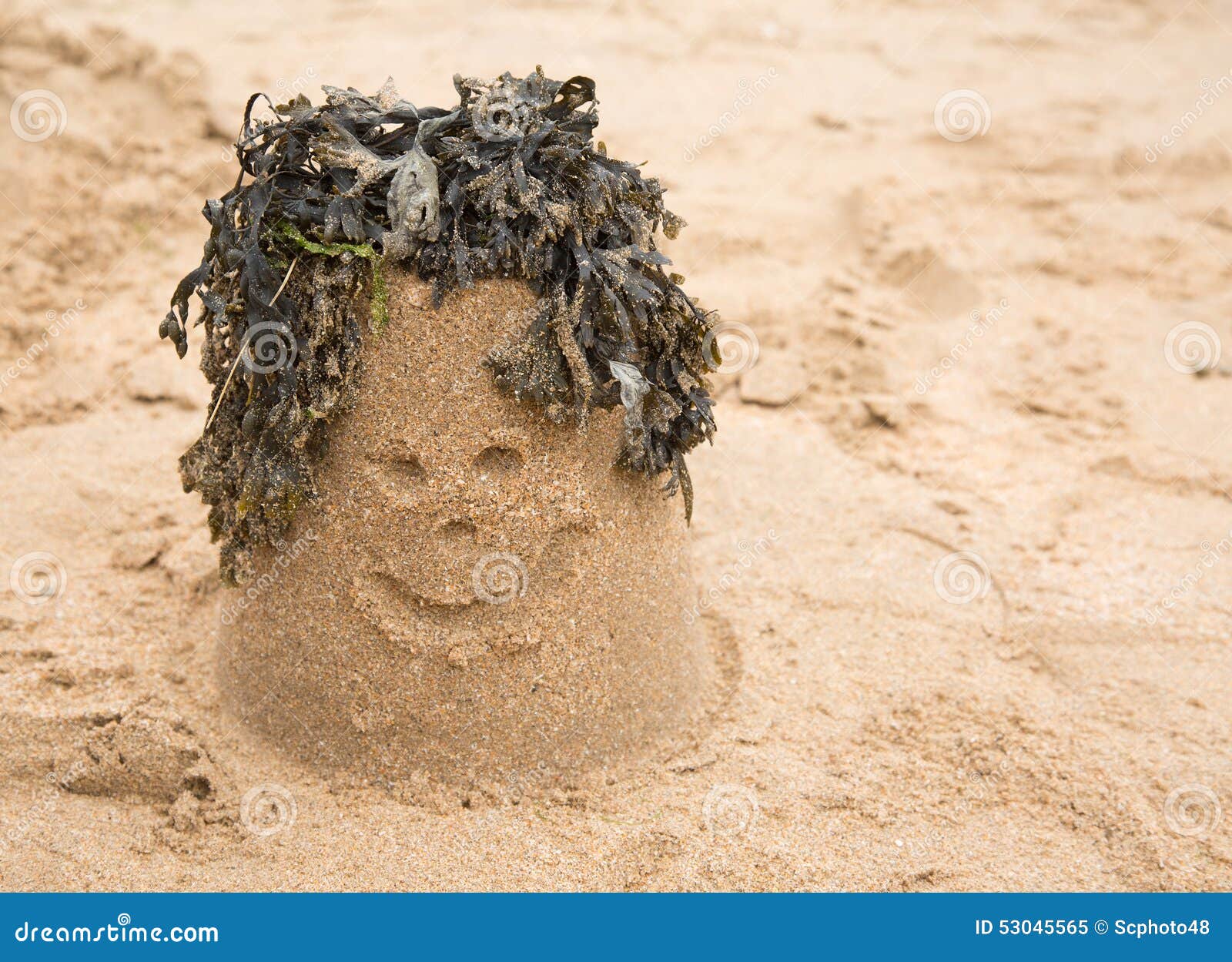 Sandcastle with Seaweed Making a Happy Face Stock Image - Image of ...
