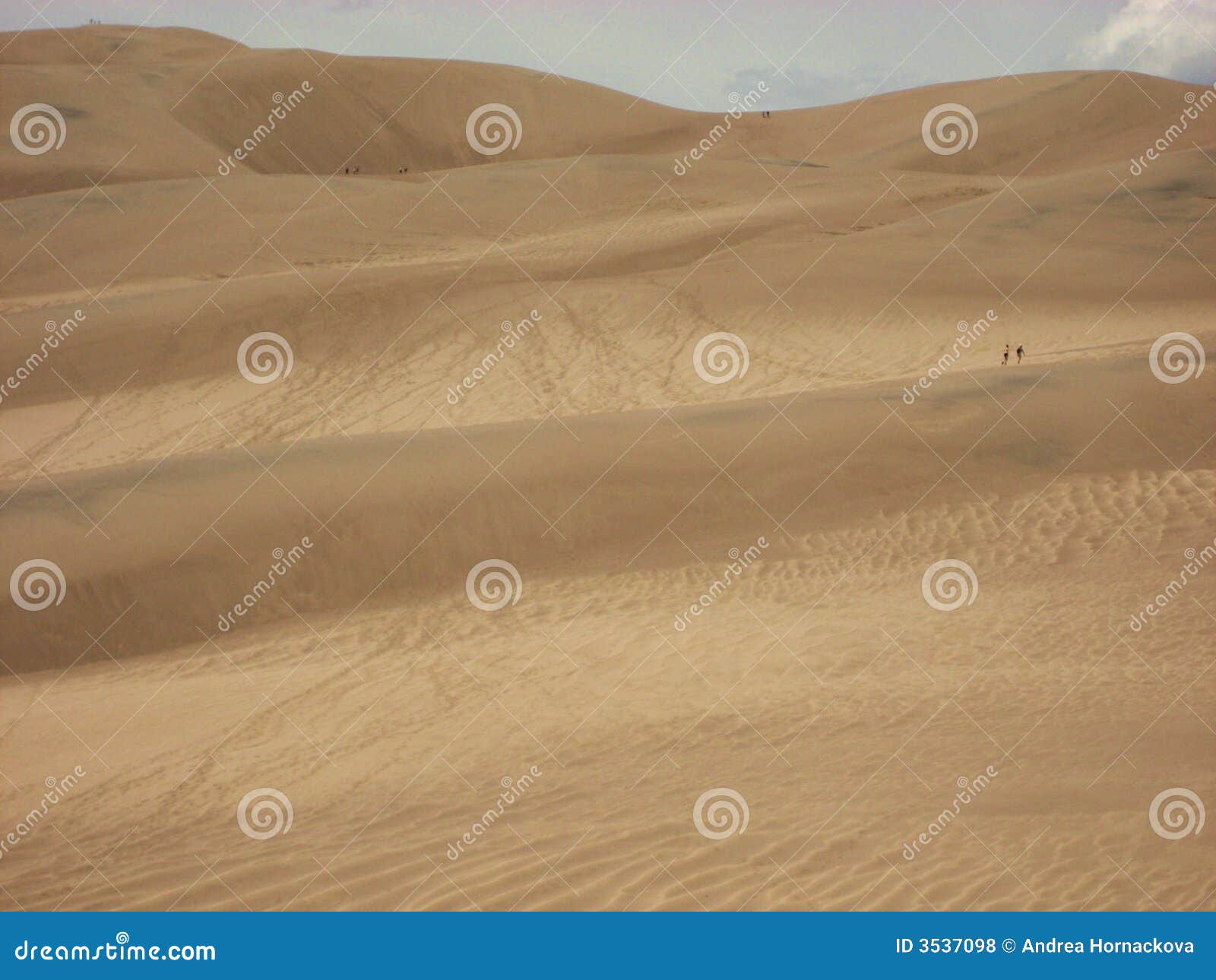 Sanddyner Bild. Bild: 3537098