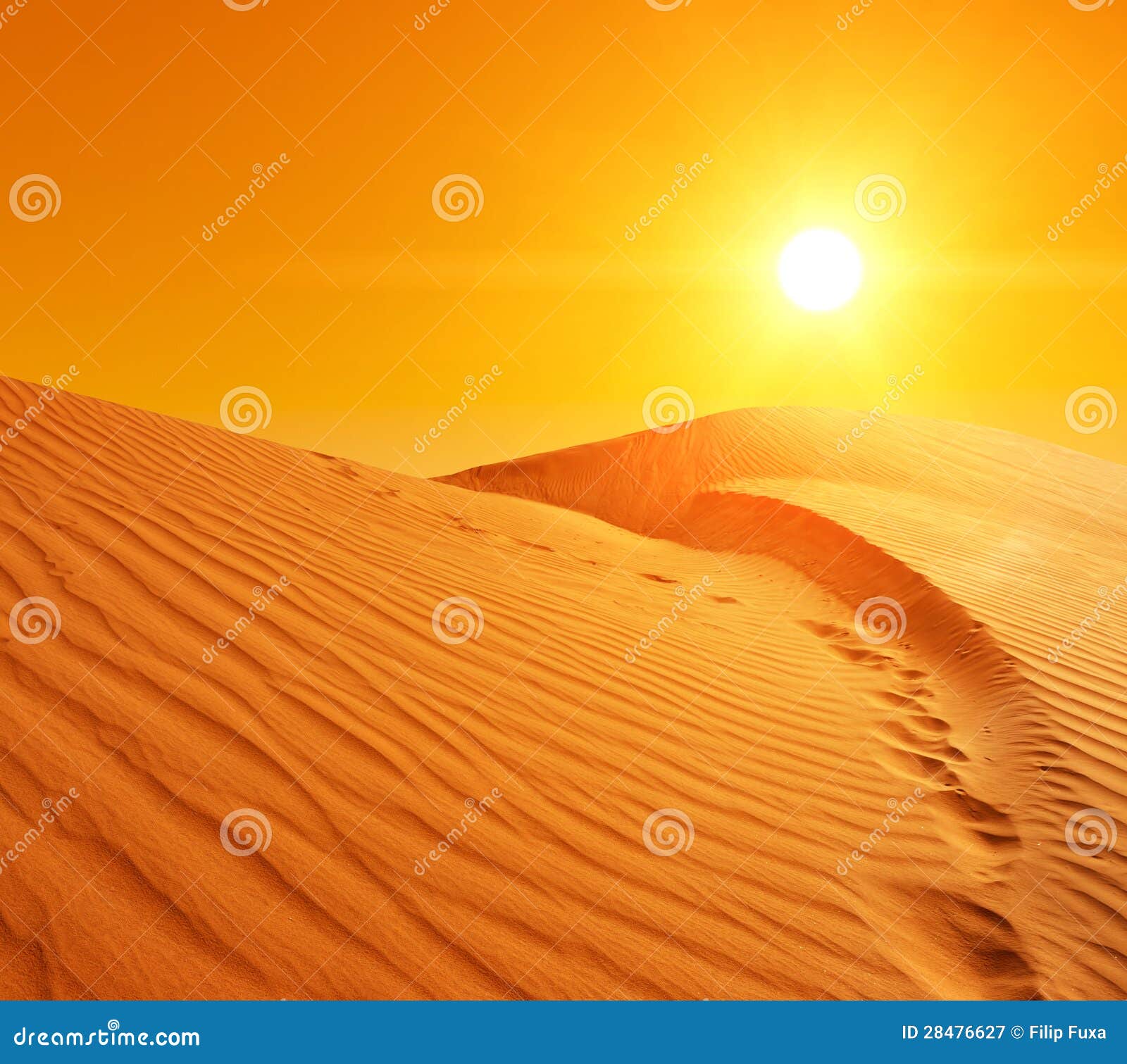 Sanddyner i Sahara fotografering för bildbyråer. Bild av modell - 28476627