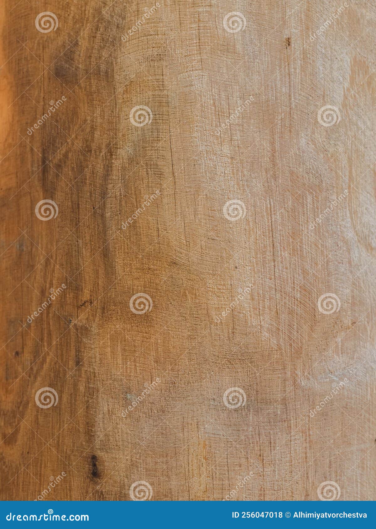 Sanded Eucalyptus Log Close Up Stock Photo - Image of texture, rugged ...