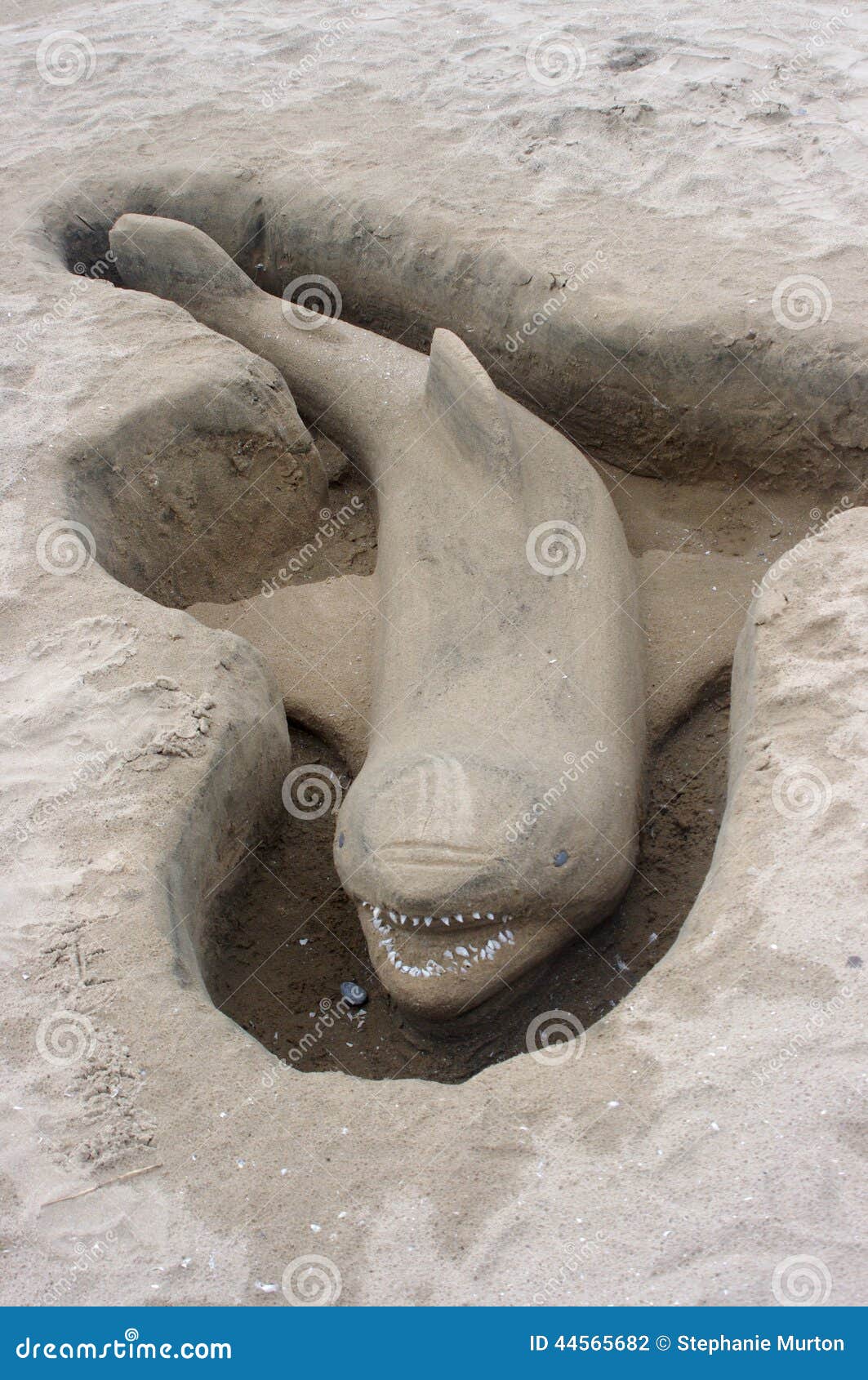 Sandhai auf dem Strand stockfoto. Bild von zeile, ufer - 44565682