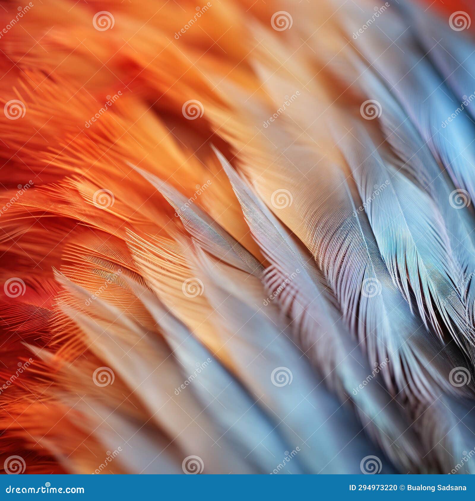Sandhill Crane Feather Background Made with Generative AI Illustration ...
