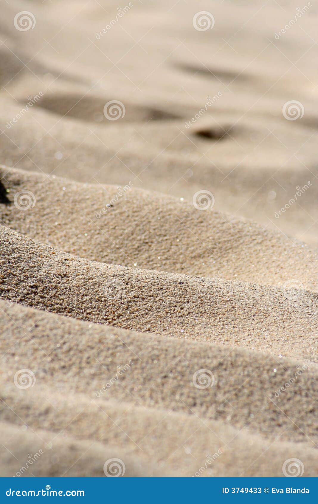 Sandhills stock image. Image of beach, sand, natural, nature - 3749433