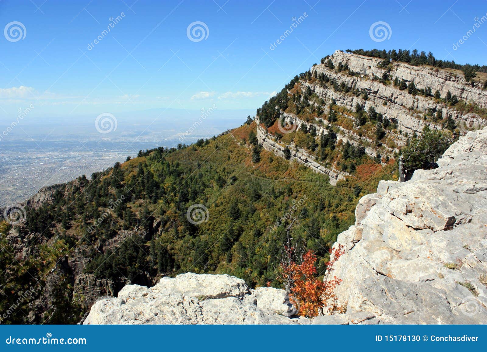 Sandia mountains stock photo. Image of bien, forest, bioherm - 15178130