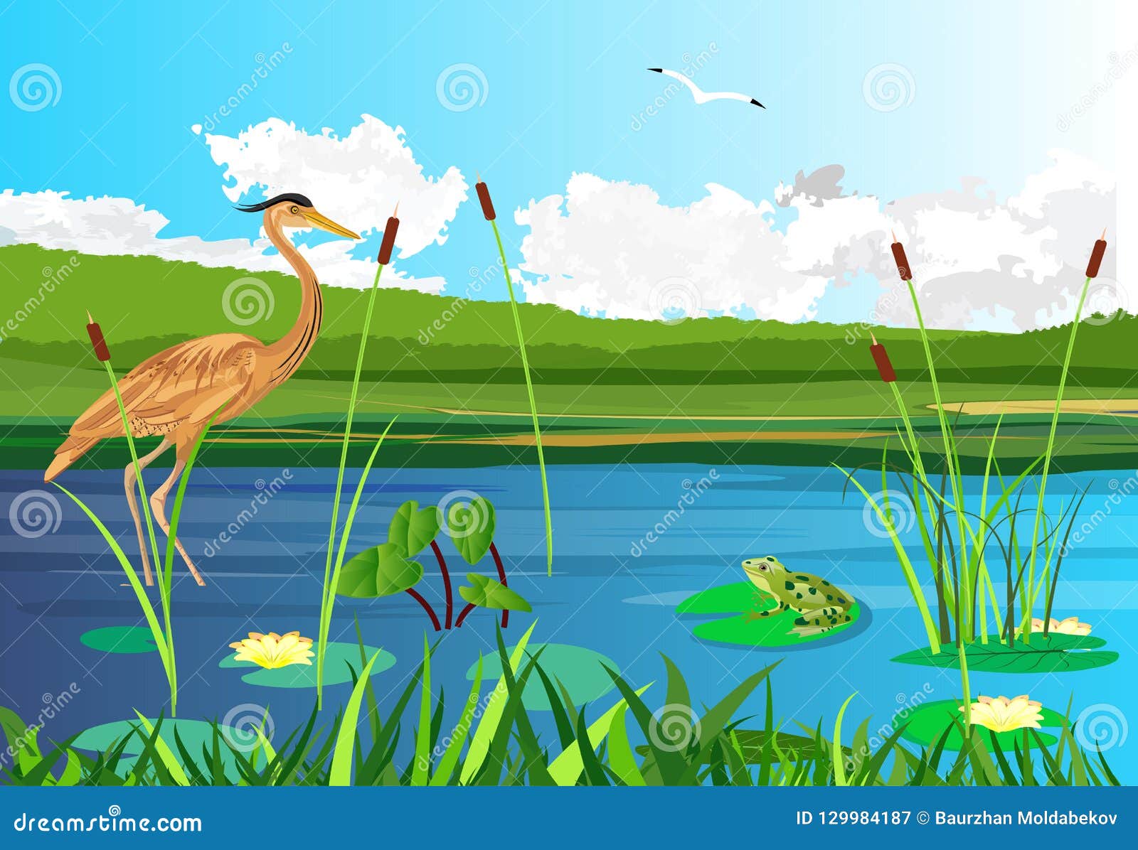 Sandpiper Bird Lake Gragonflies Wetlands Stock Vector Illustration