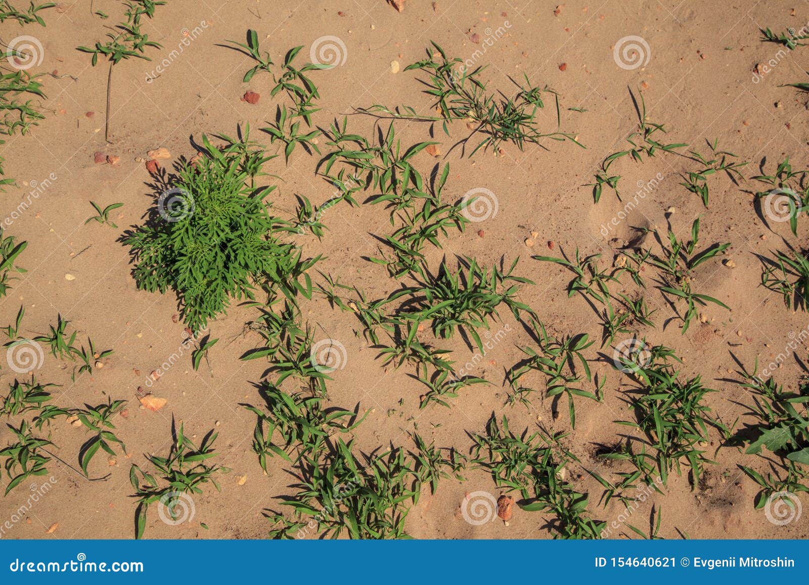 Sandpit, Pink Sand, Sand Dunes Texture Sand Stock Image - Image of ...