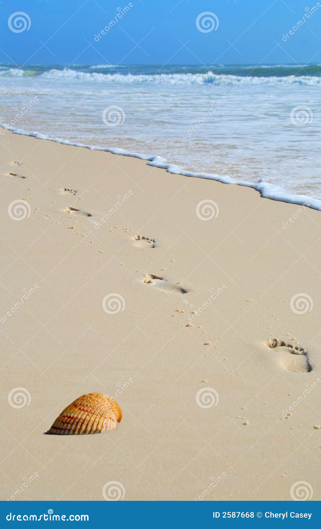 Sandprints and Shell by Shore Stock Photo - Image of wave, caribbean ...