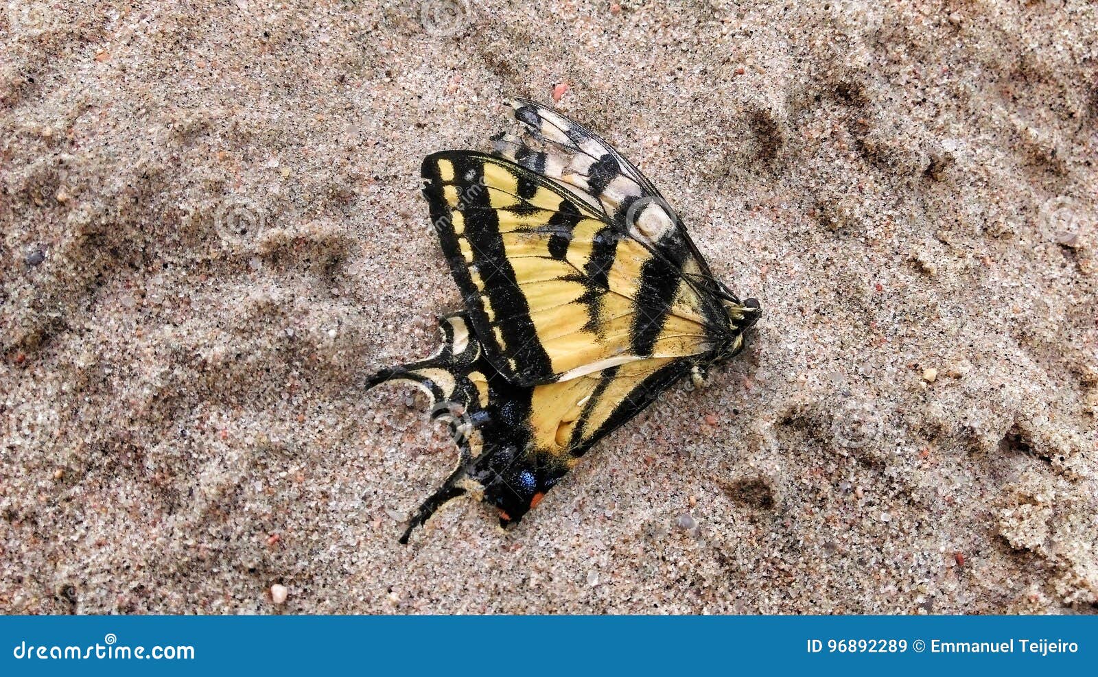 Sands of Time stock image. Image of time, shell, sands - 96892289