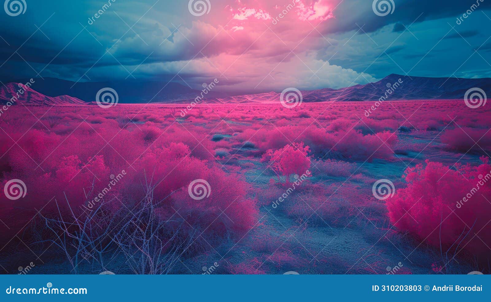 Sands of Time: Desert S Pink Monsoon. Stock Illustration - Illustration ...