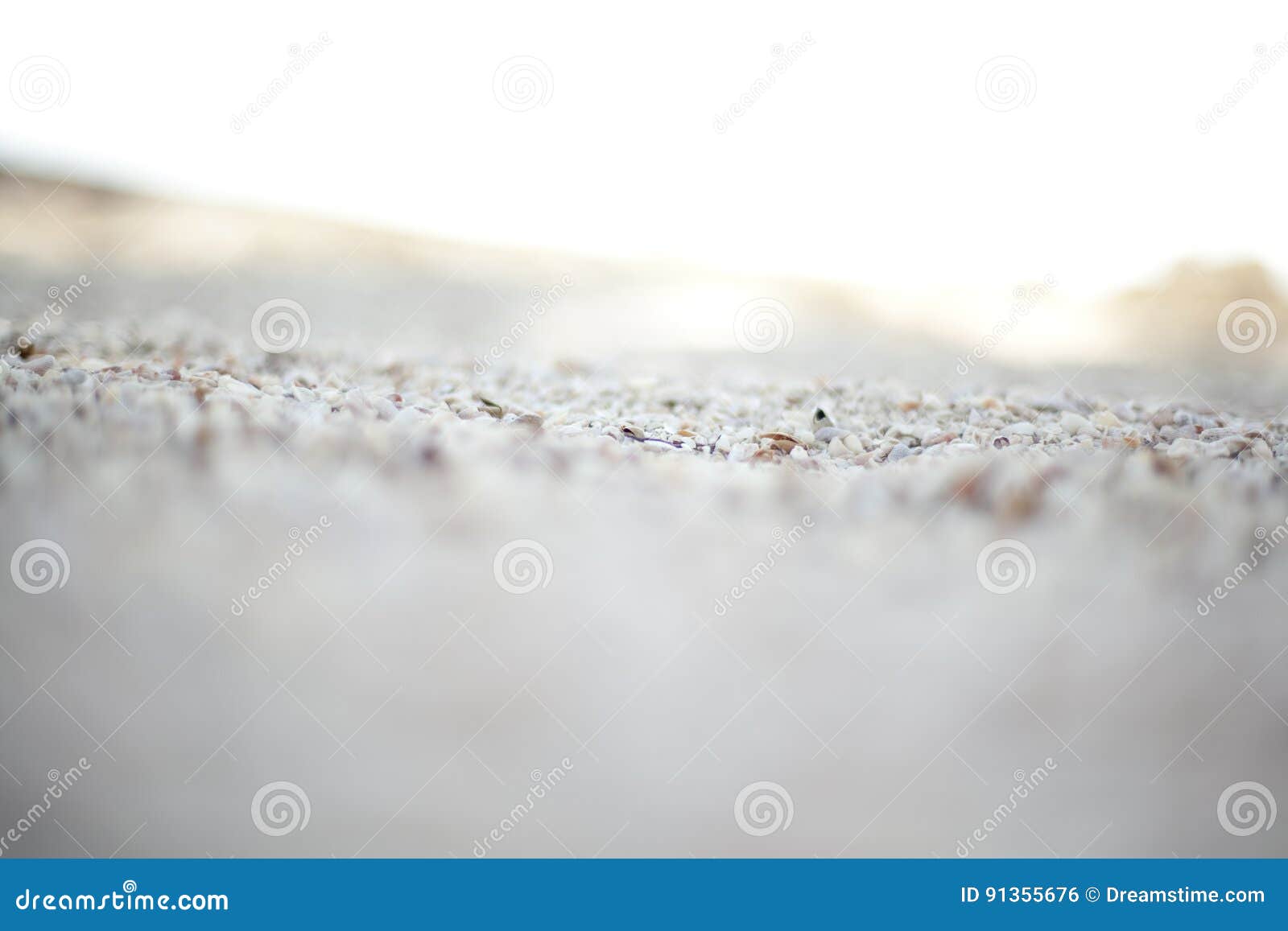Sandscape stock photo. Image of sand, seashells, beach - 91355676
