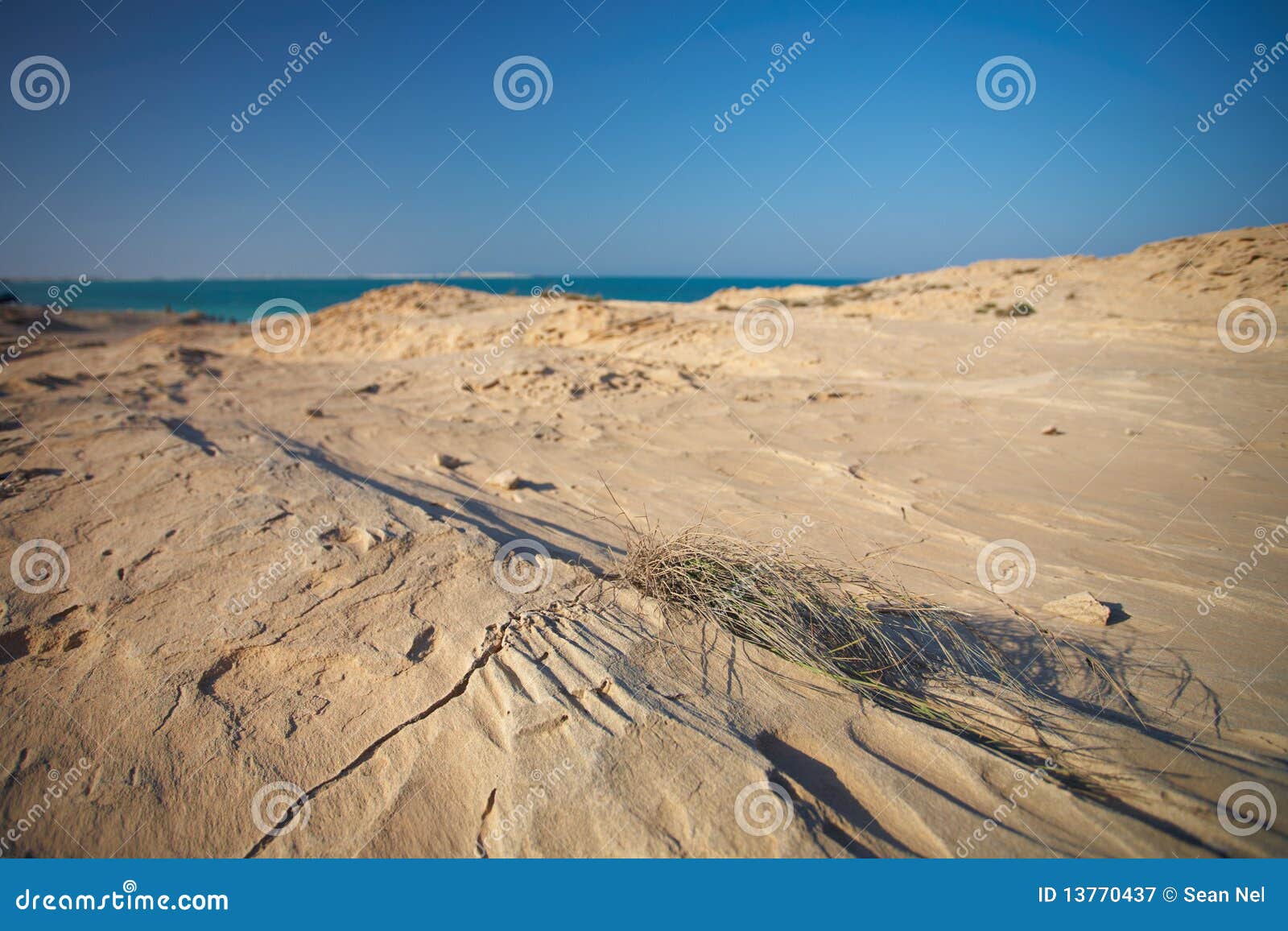 Sandstone Beach stock image. Image of outdoor, outdoors - 13770437